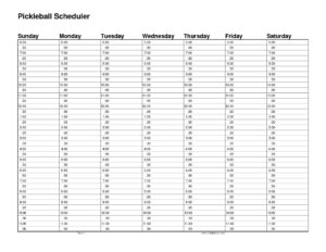 Downloadable Pickleball Playtime Scheduler - PickleballSet