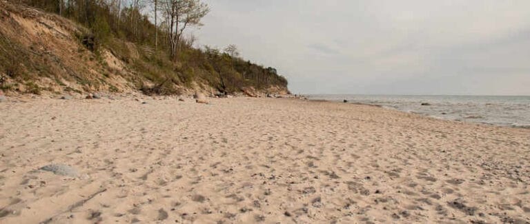 The Ultimate Guide to Playing Beach Pickleball in the Sand - PickleballSet